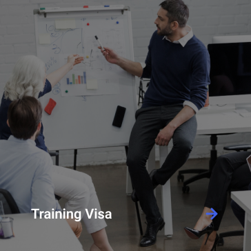 Visa Eligibility Pro - Visa Assessment